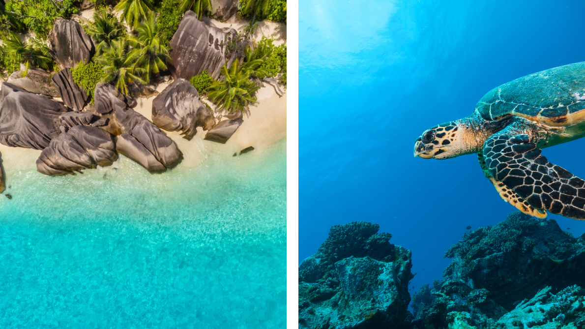 Meilleure période pour partir aux Seychelles : climat, saisons, conseils